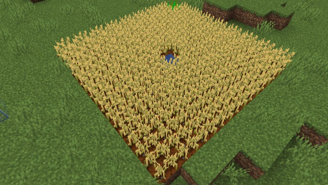4 best Minecraft food farms to build in your world