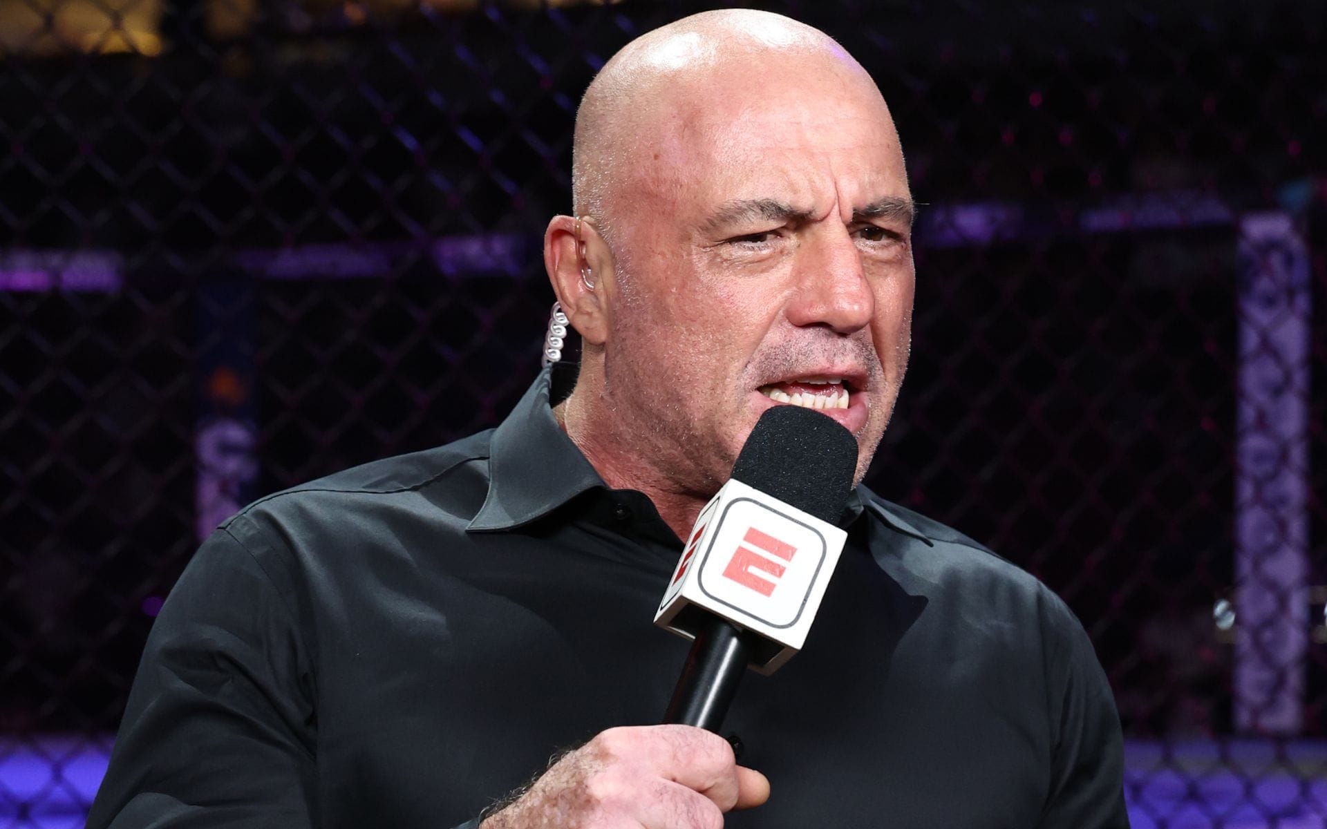 Why did Joe Rogan stop fighting? UFC commentator reflects on scary ...