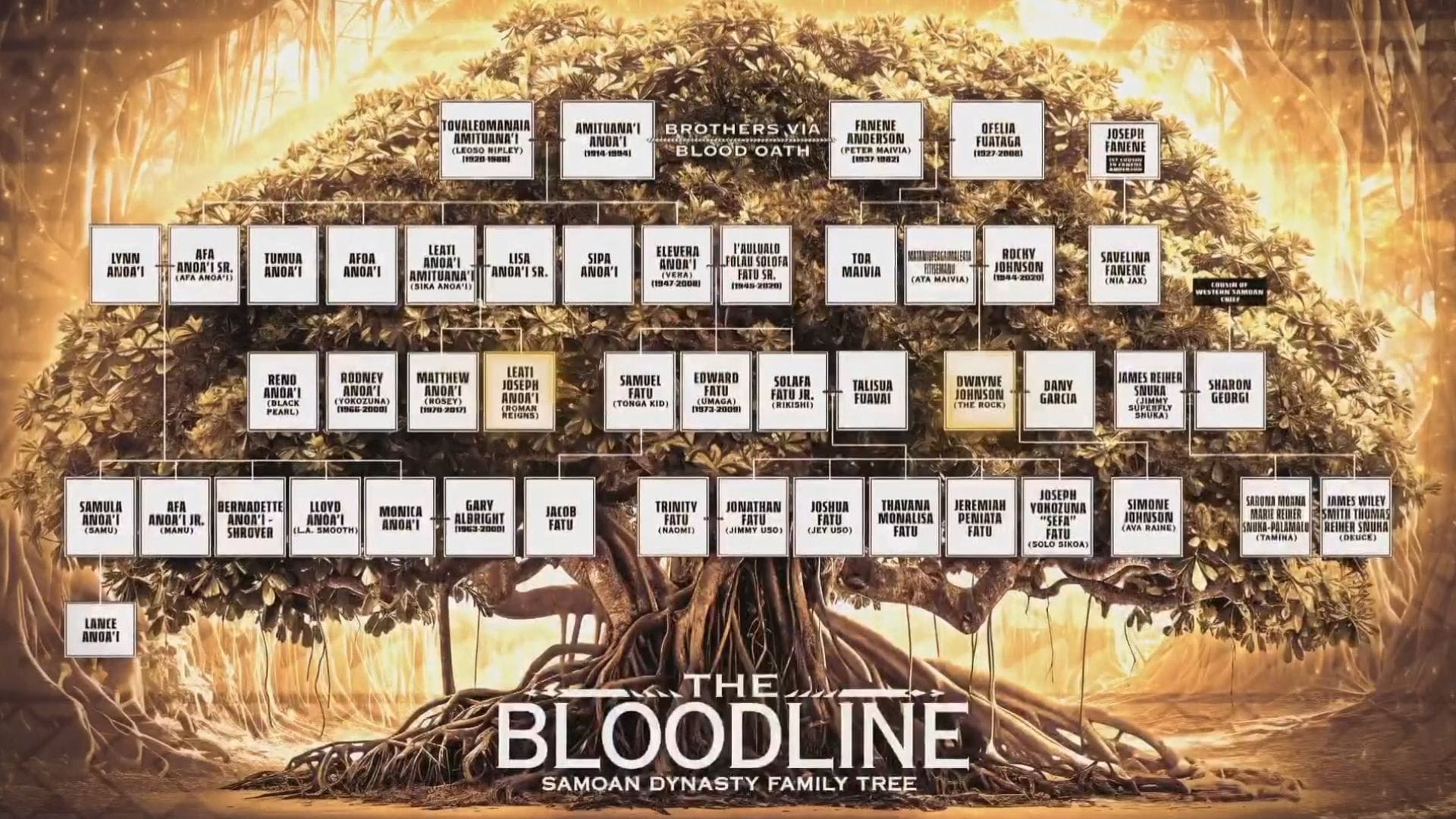 WWE legend approves major change for real-life Bloodline members