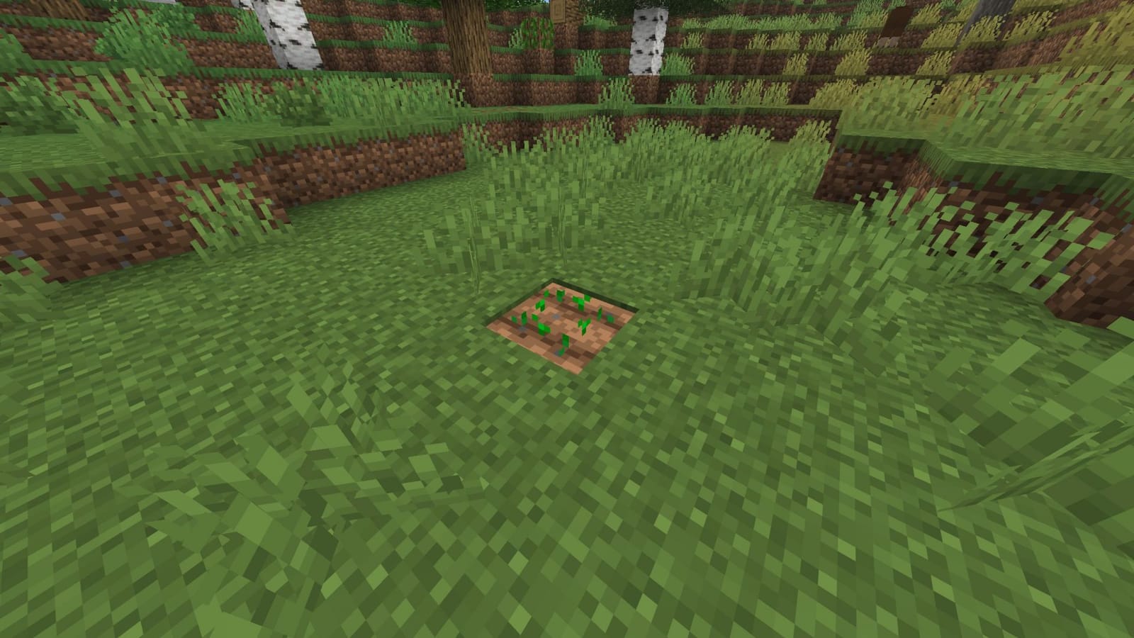 All crops in Minecraft and how long they take to grow