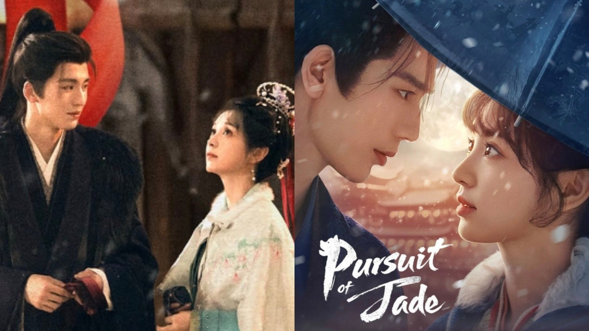 When and where to watch Pursuit of Jade? Complete release schedule ...