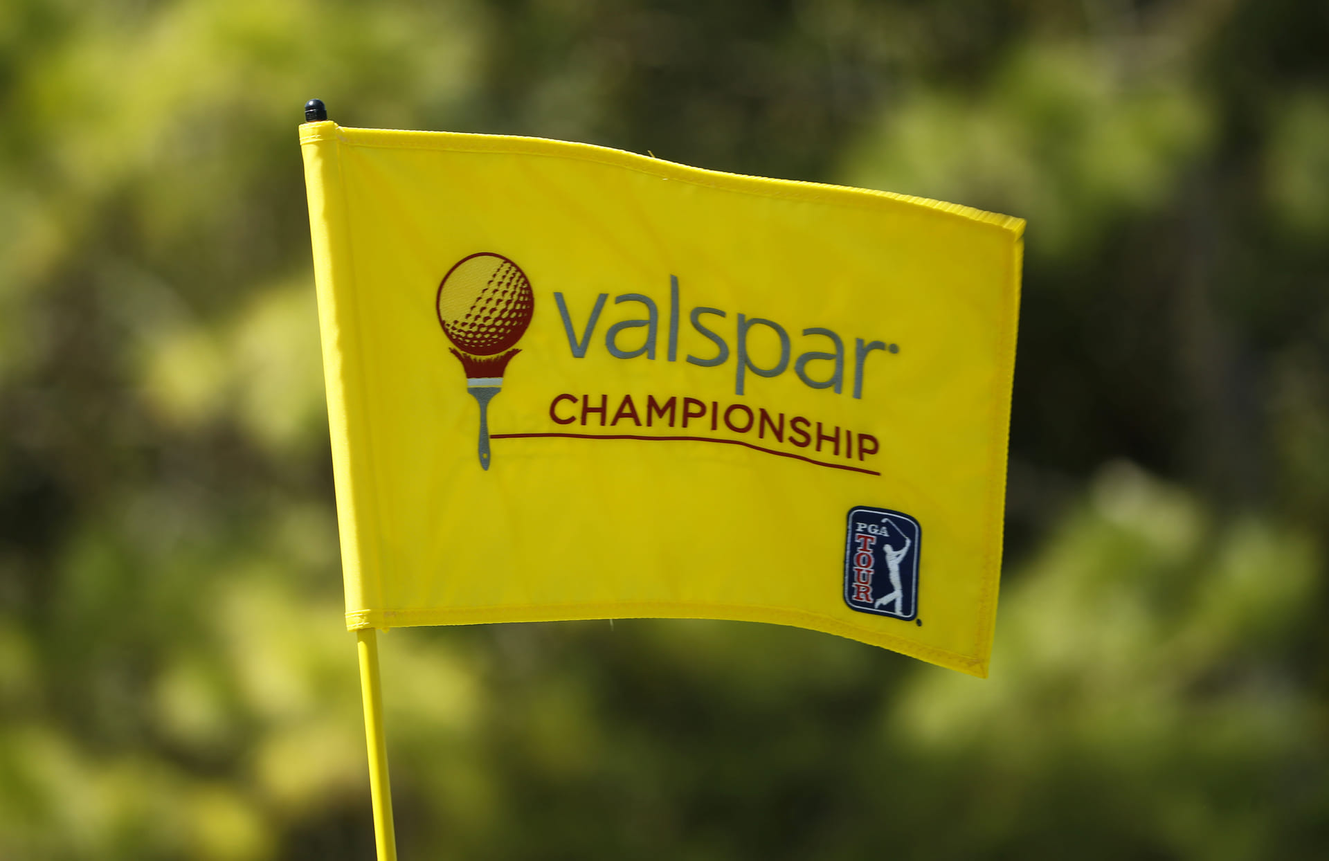 Who is playing in the Valspar Championship 2026? Full field and ...