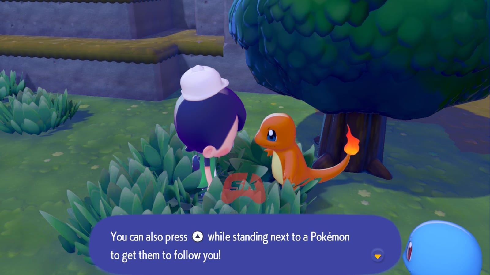 How to make Pokemon follow you in Pokemon Pokopia