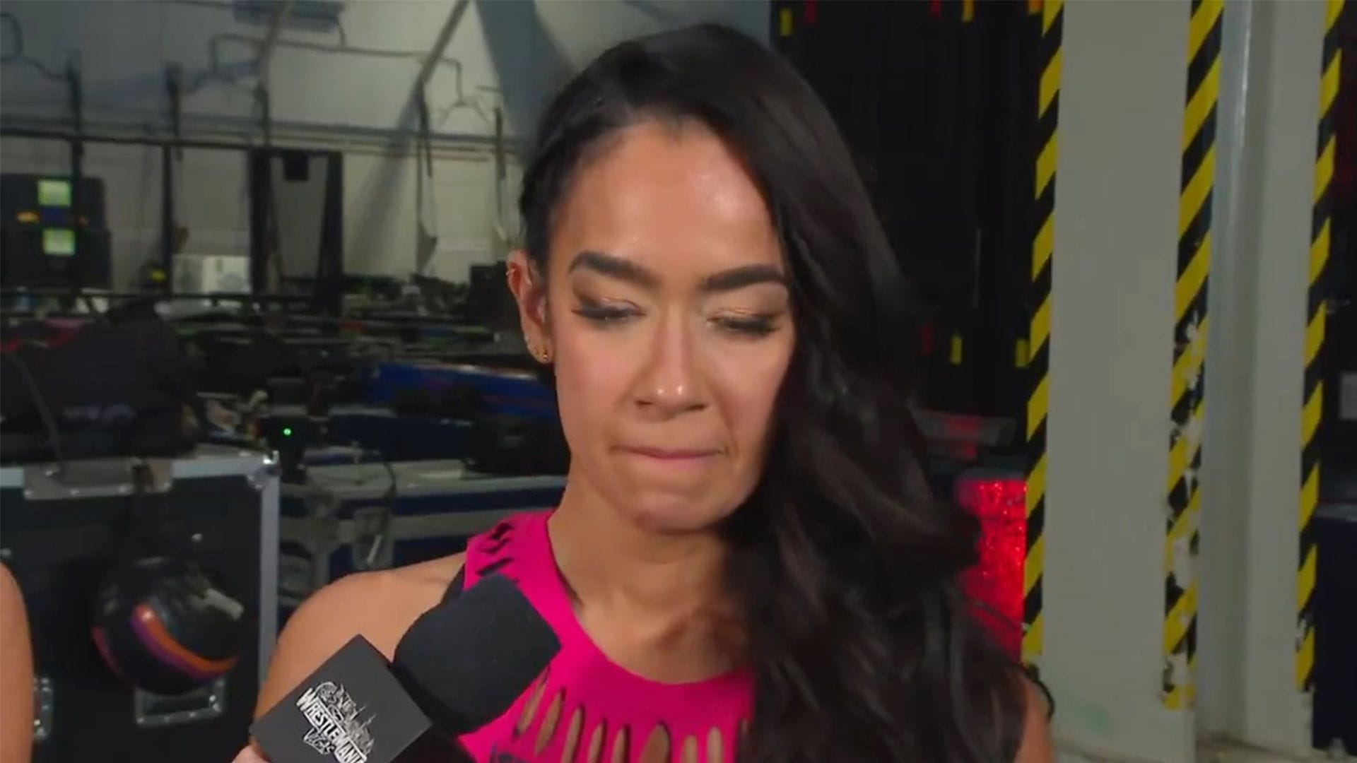 She's Not Done: AJ Lee Seemingly Bids Farewell To WWE; Sends ...