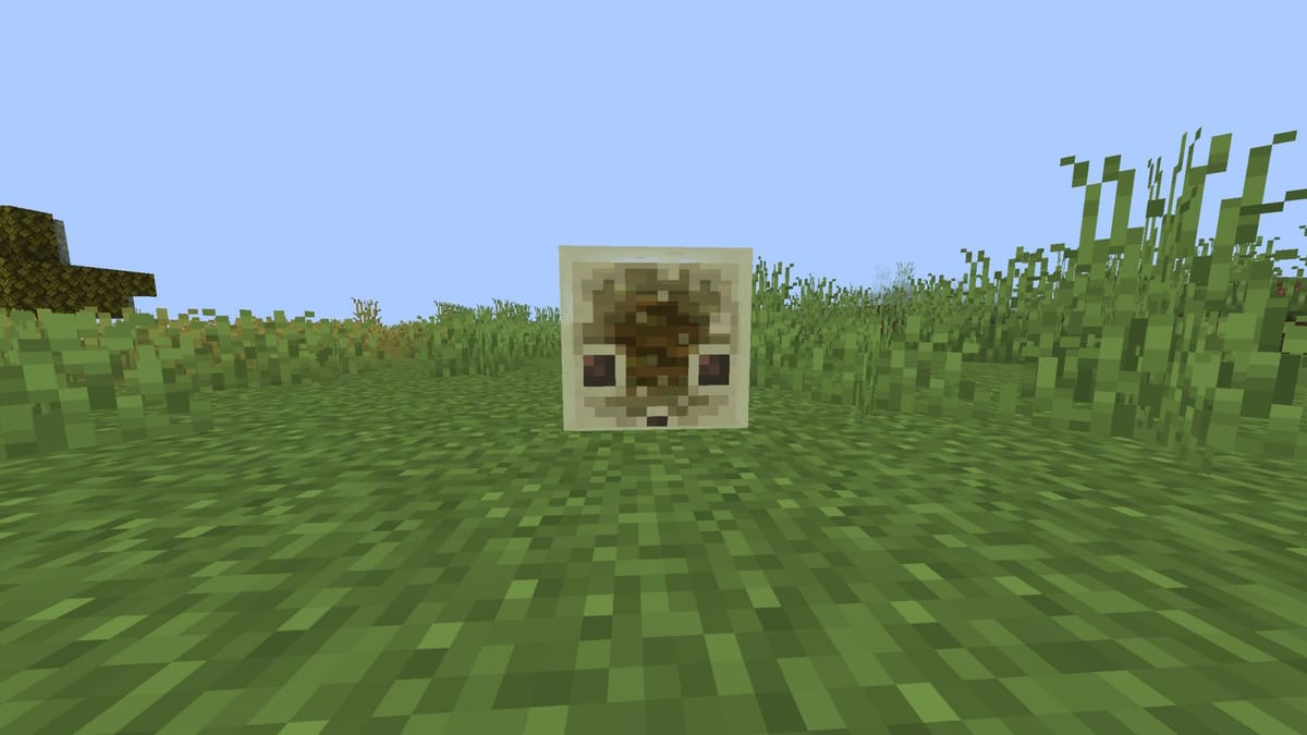 All sulfur cube archetypes in Minecraft explained