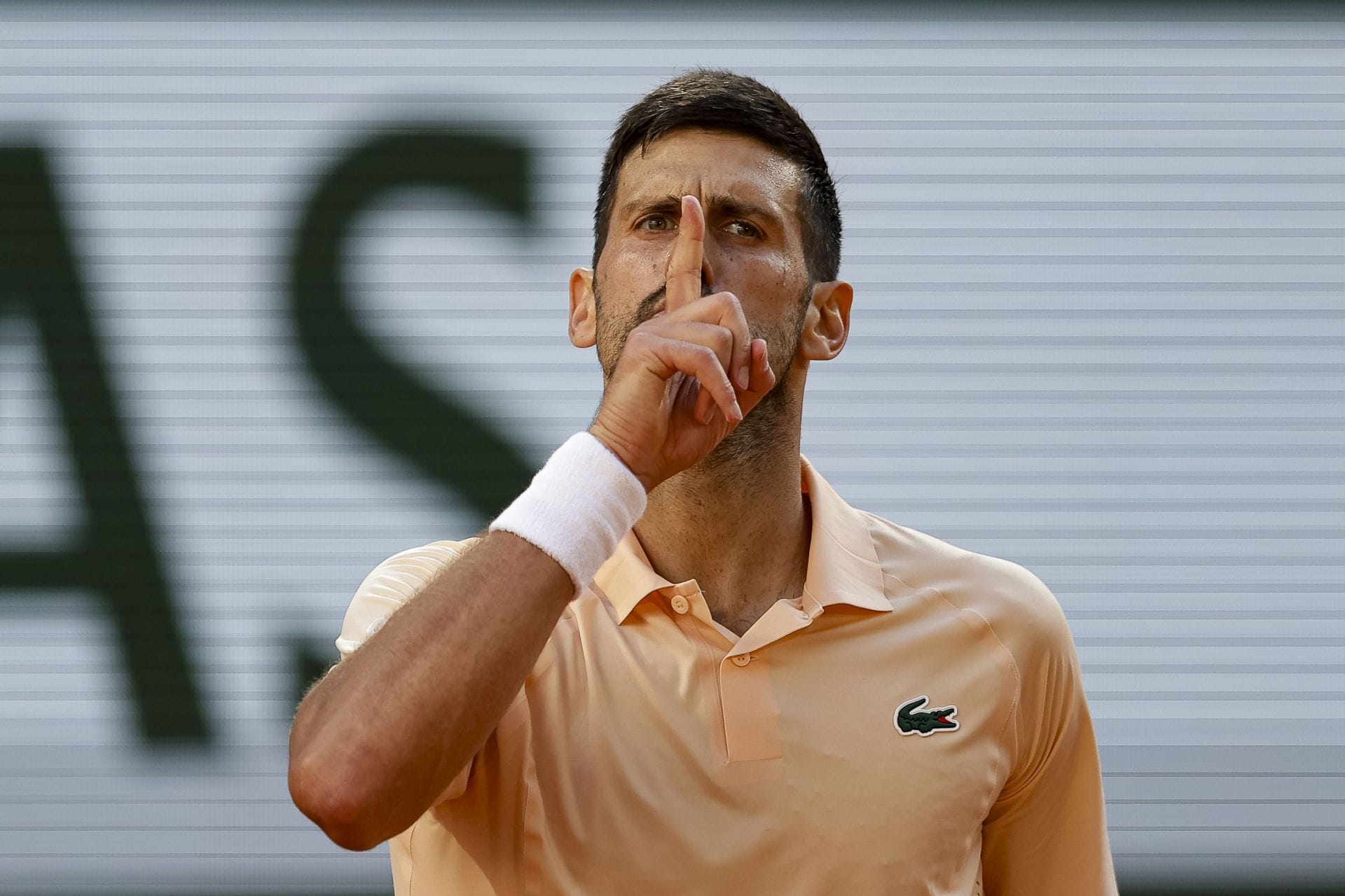 WATCH: Novak Djokovic loses his temper, goes off on cameraman in heated ...