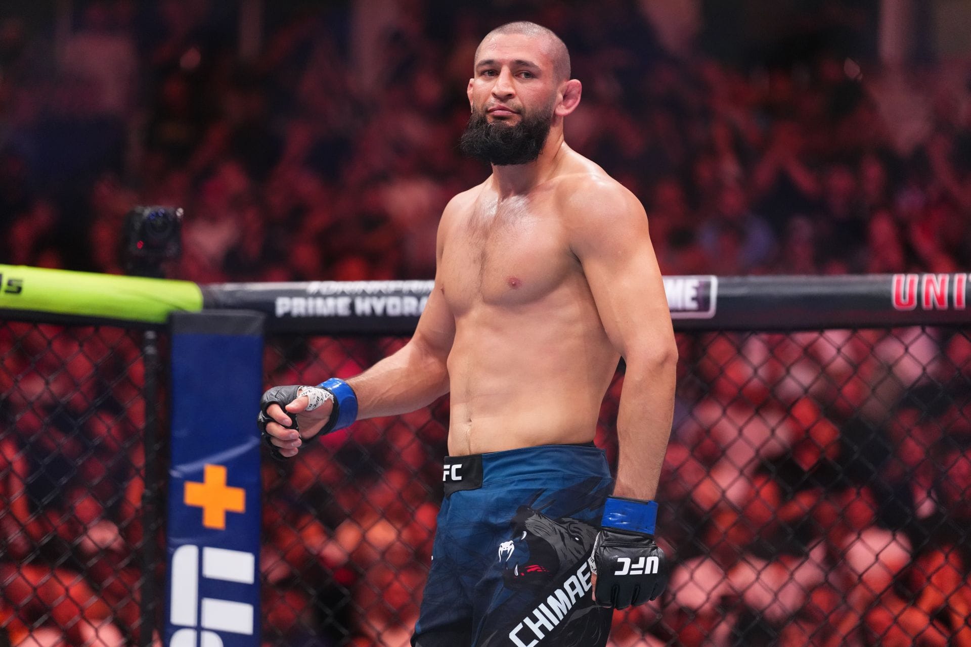 UFC 328: Khamzat Chimaev’s four-word reaction throws light heavyweight ...