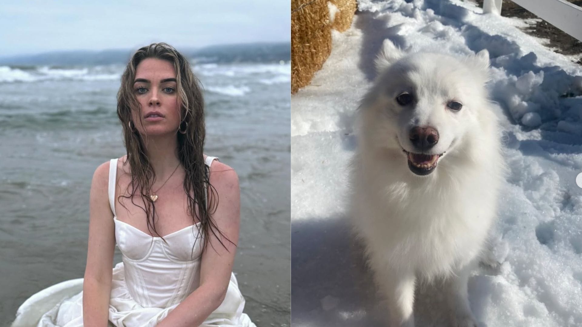 "I don’t know how I’m going to survive": QTCinderella breaks silence ...