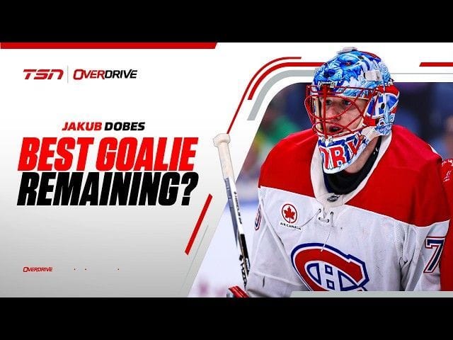 "Patrick Roy, Dominik Hašek type stuff": Former NHL goalie breaks down ...