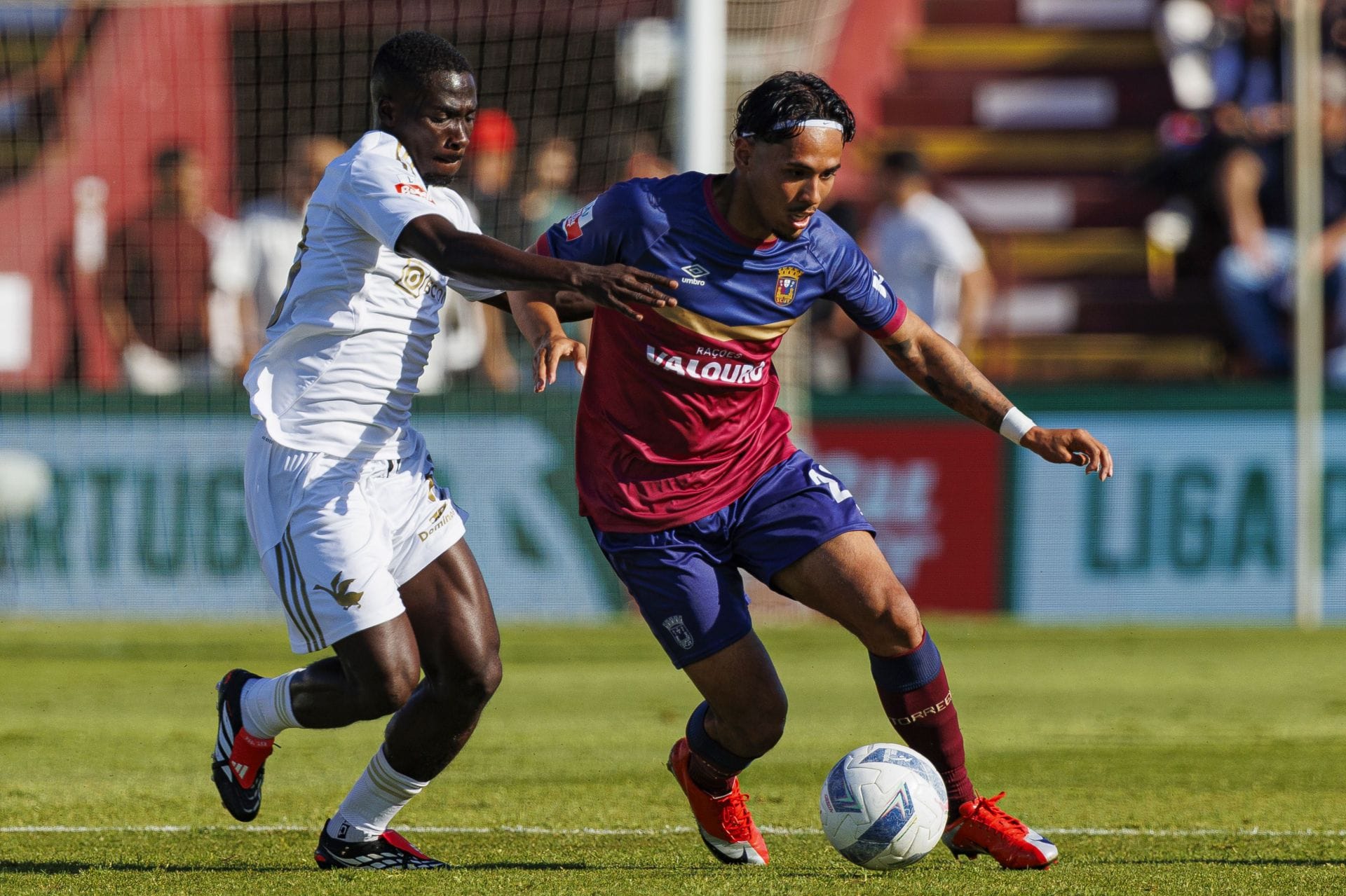 Casa Pia vs Torreense Prediction and Betting Tips | May 28th 2026