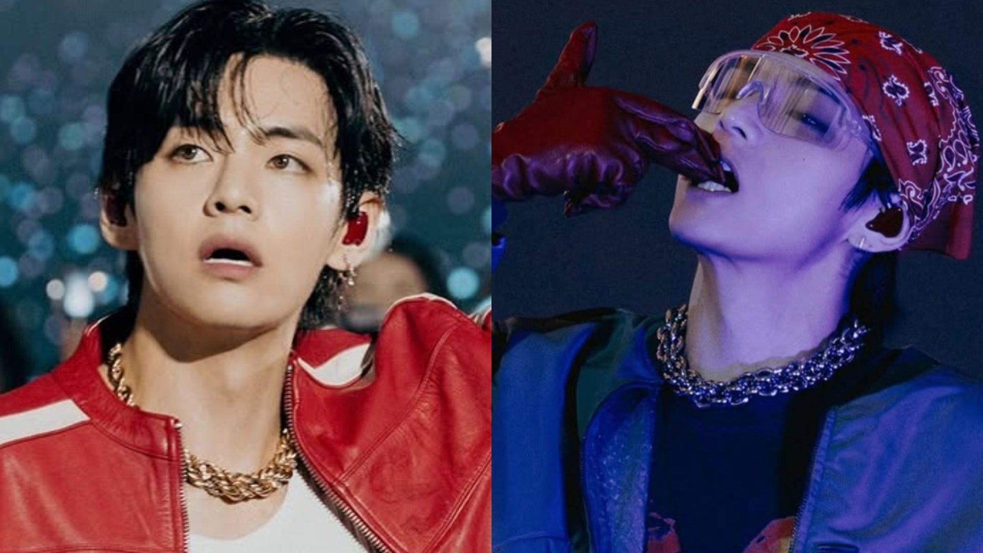 "Doing damage control" - Fans divided after Tetris Kelly praises BTS ...