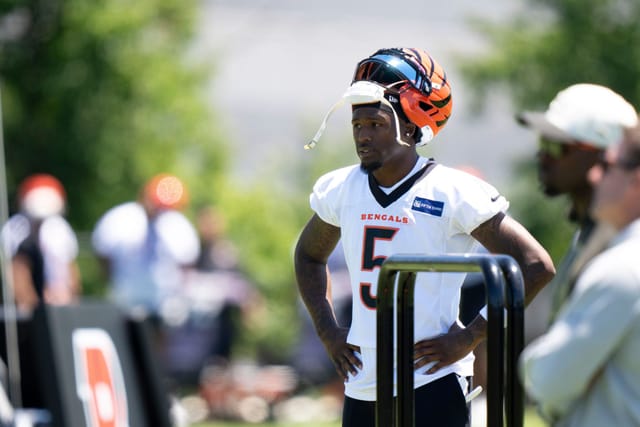 “Anything but making playoffs”: NFL fans react as Tee Higgins scores ...