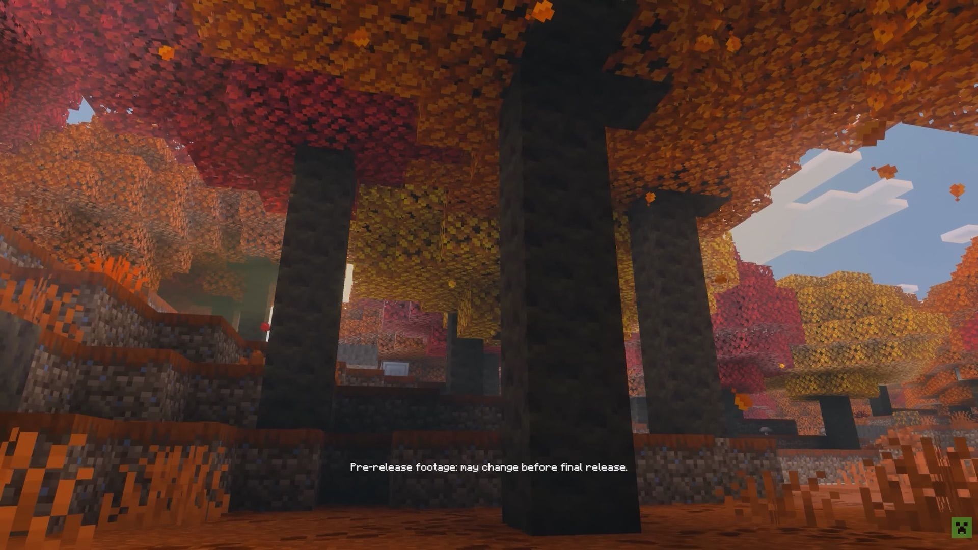 Dappled Forest in Minecraft: Poplar tree, red shrubs, and other features