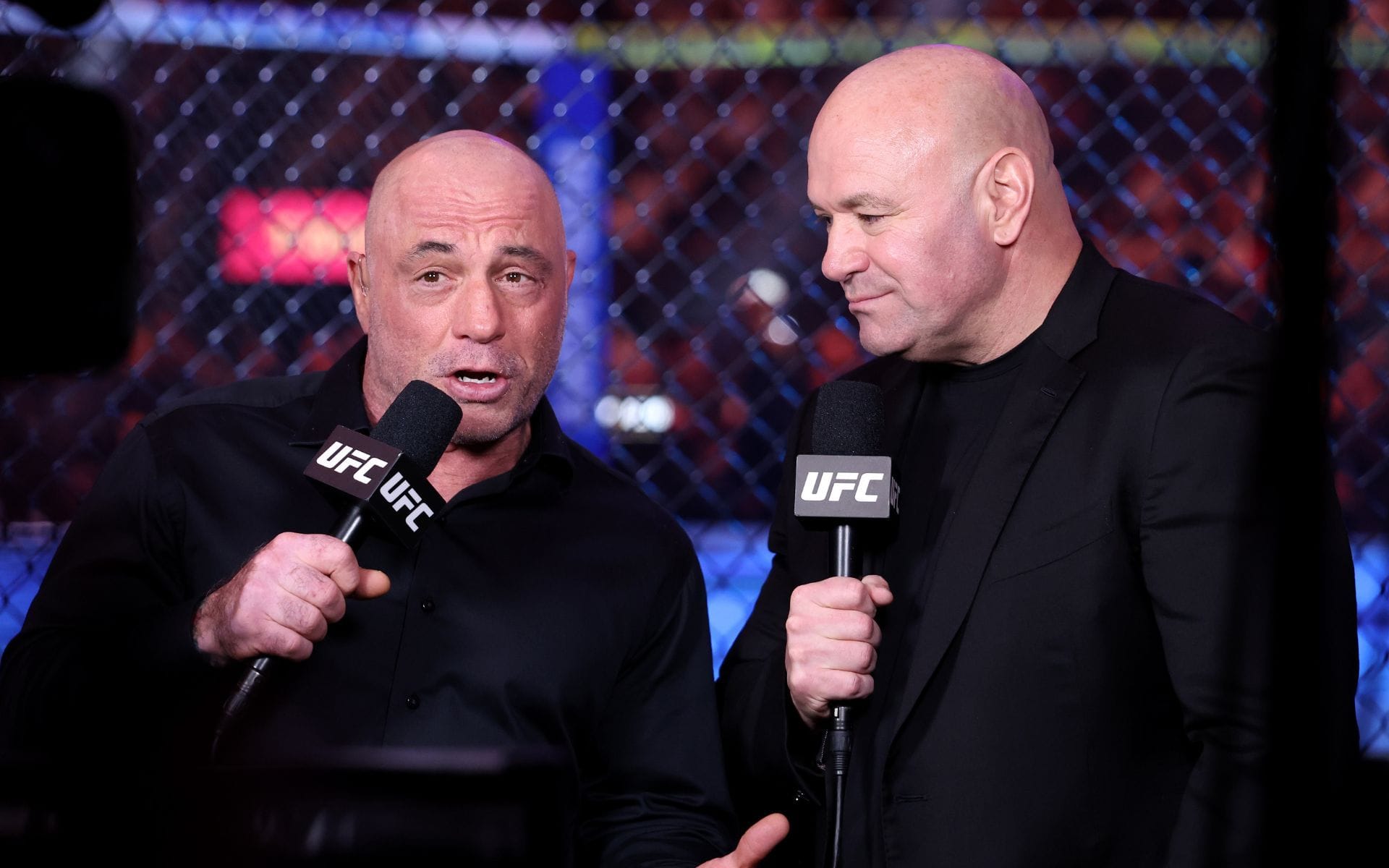 Dana White defends UFC Freedom 250 against Joe Rogan's "gimmick" label ...