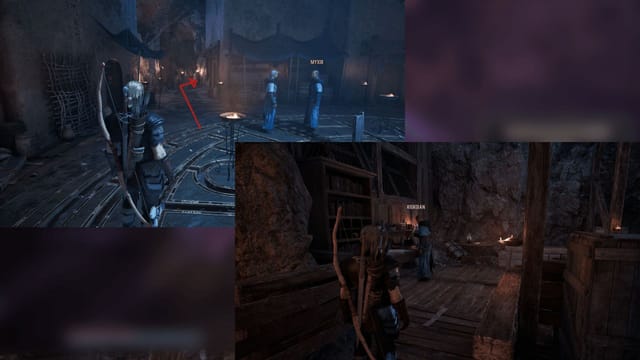 What to do with the Queen's Pheromone Gland in Gothic 1 Remake?