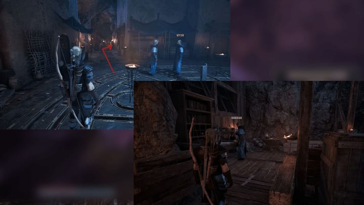 What to do with the Queen's Pheromone Gland in Gothic 1 Remake?