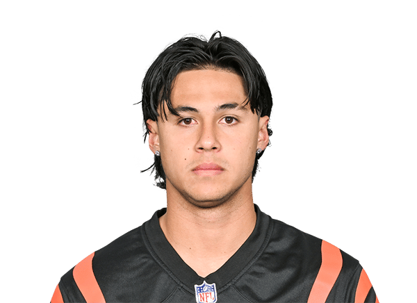 Andrei Iosivas Profile - Bio, Game Log, Career Stats, Draft, College ...