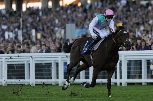 Lucky 13 for Frankel as winning streak continues