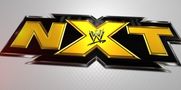 WWE NXT results: August 28, 2013