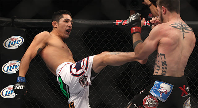 Next Generation of fighters in MMA