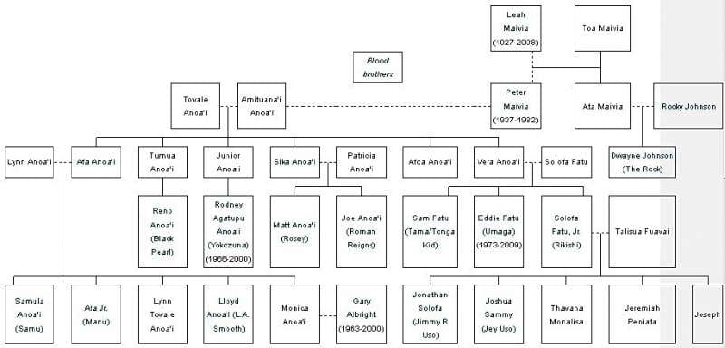 How is Roman Reigns related to The Rock?