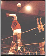 Volleyball Anyone?